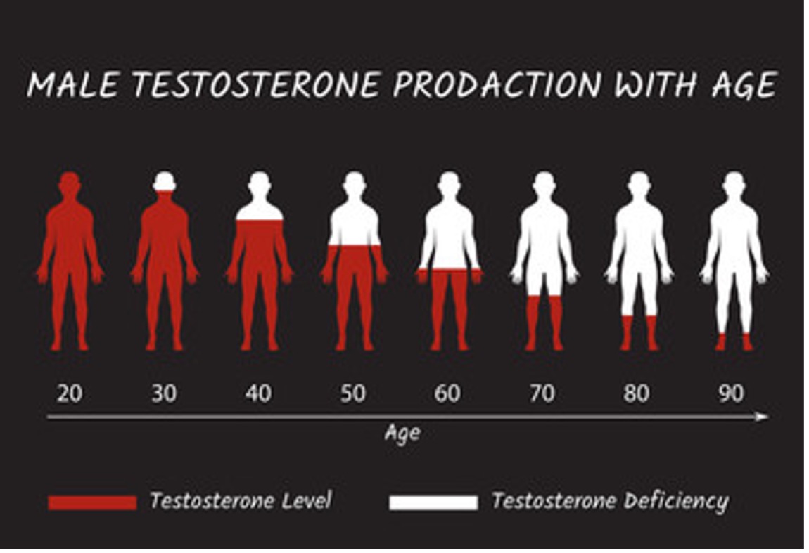Get The Testosterone You Need with TRT - Urology Clinics of North Texas